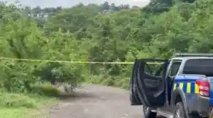 Mammee Bay – Jamaica Observer
