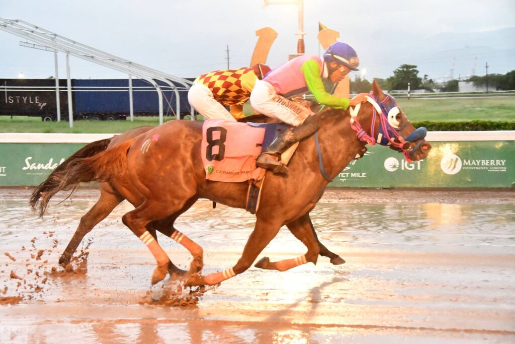 Roman closes gap in jockeys’ championship race with four-win haul ...