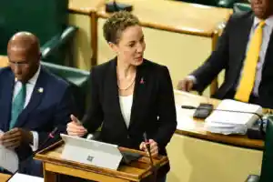 Gov't strengthening environmental safeguards, says Johnson Smith ...