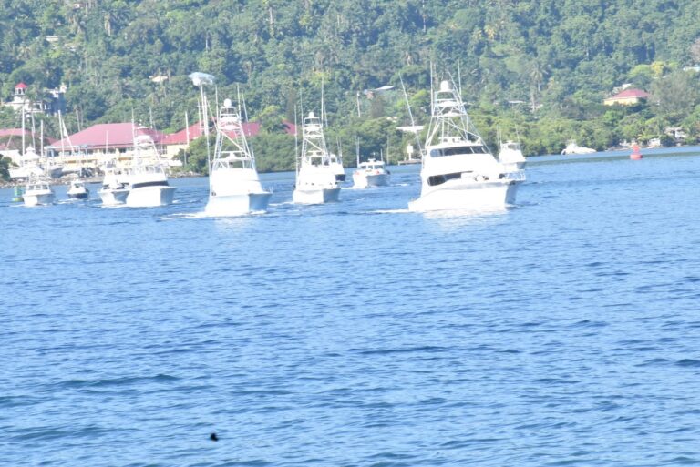 Three marlins released on first day of 61st Port Antonio International ...