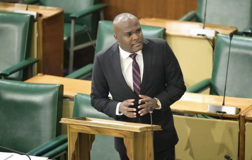 Fitz-Henley wants PNP campaign finance probe finding publicised - Jamaica Observer