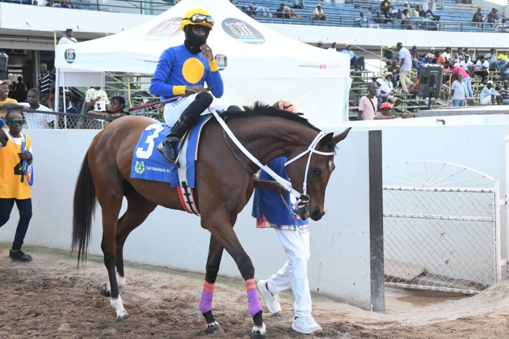 Grecian Light poised to take Caymanas Park Announcers’ Trophy - Jamaica ...