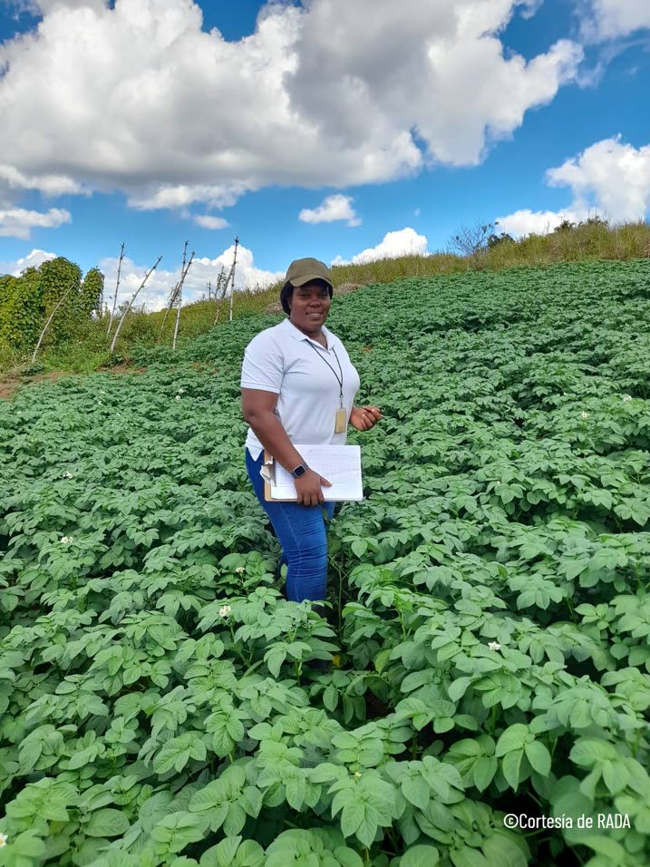 Cultivating connections to transform rural communities in Jamaica ...