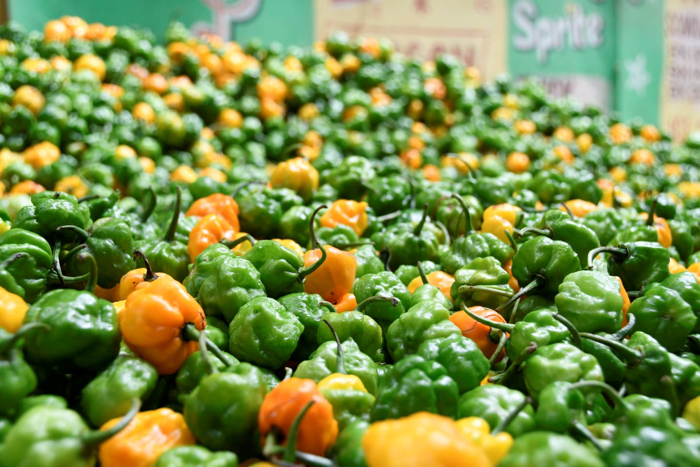 JBDC pushes value chain strategy for pepper products - Jamaica Observer