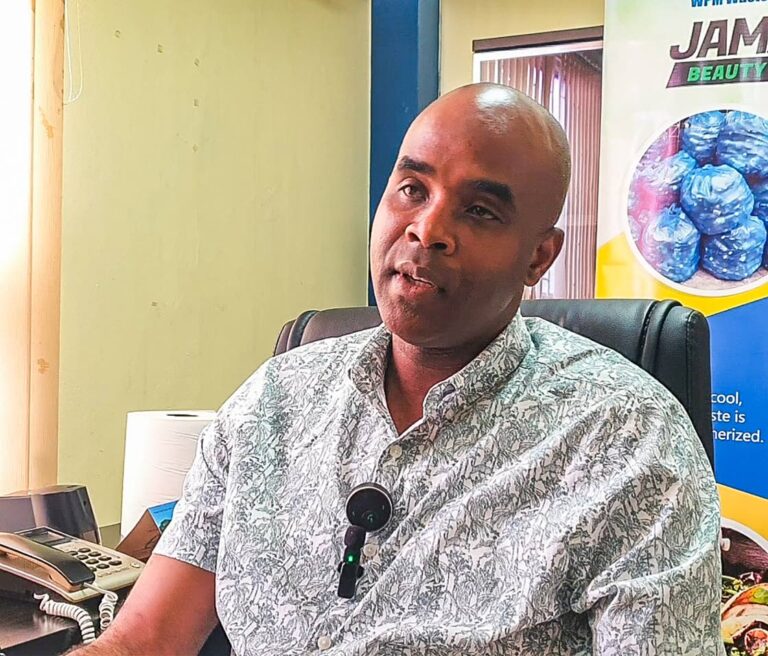 Western - Jamaica Observer