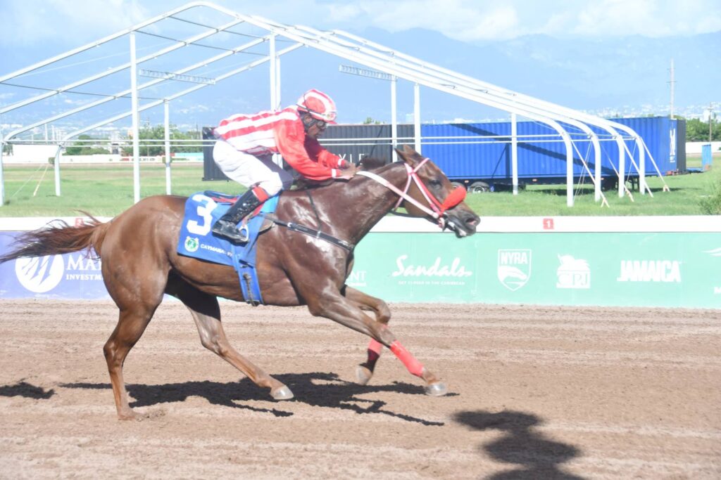 Foster’s fiery form continues at Caymanas Park - Jamaica Observer
