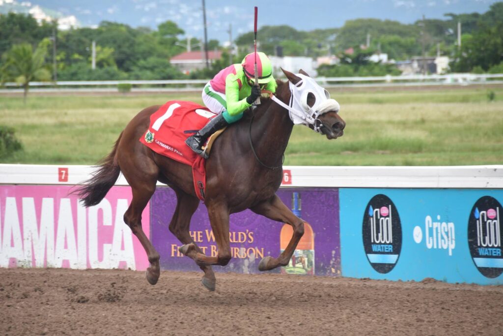 Hazelnut dominates BGLC/TOBA Jamboree Sprint - Jamaica Observer