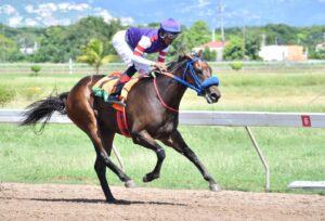 Bootylicious tipped to win St Elizabeth Distaff - Jamaica Observer