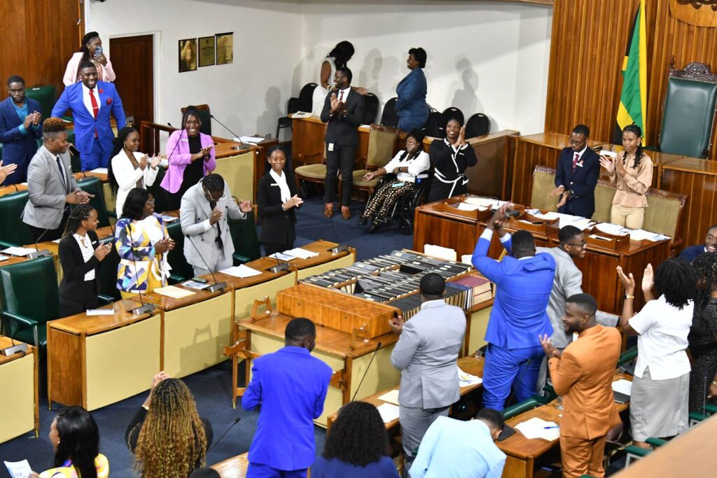 Young people want a bigger say in constitutional reform matters ...