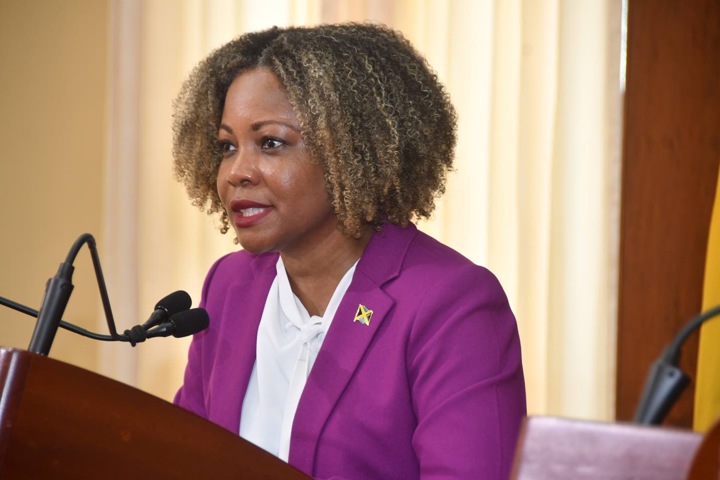 Competence-based politics - Jamaica Observer