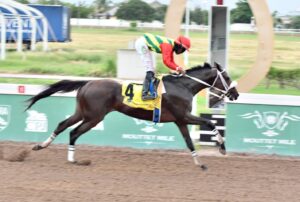 Barnaby stuns competition with breathtaking debut - Jamaica Observer