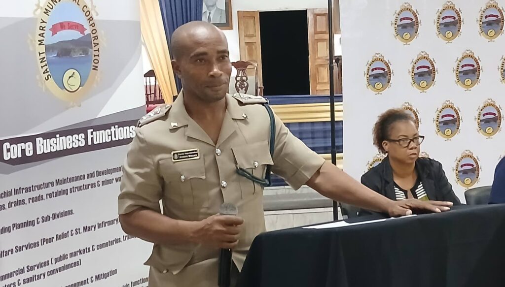 A look back at the 12 biggest local news stories of 2024 - Jamaica Observer