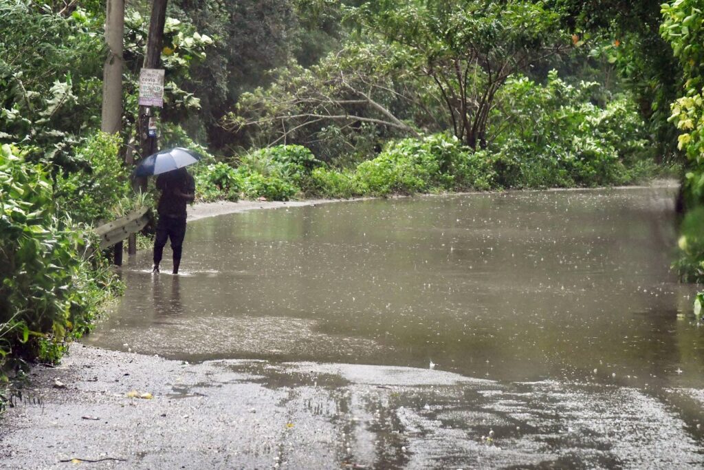 Jamaicans urged to avoid stagnant water following passage of Tropical ...