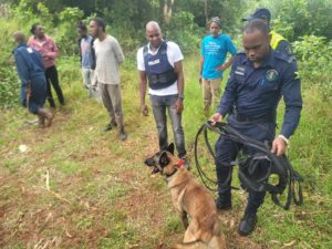 Police canine unit joins search for missing Manchester autistic teen ...