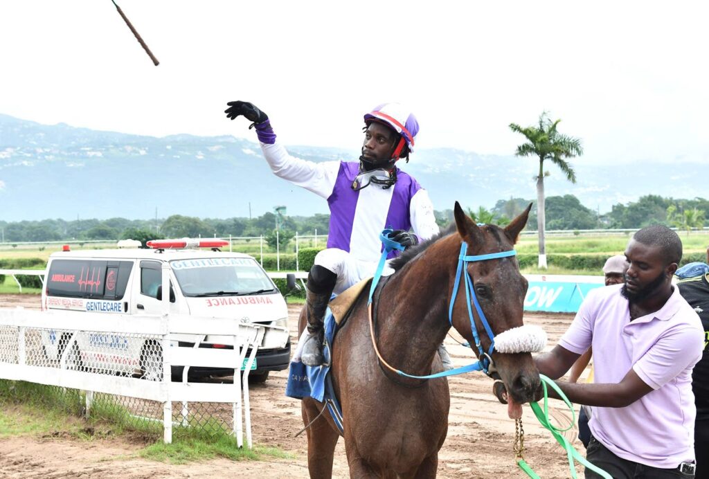 RACE DAY REVIEW FOR SATURDAY, NOVEMBER 16, 2024 - Jamaica Observer