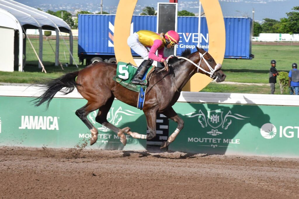 Captain Sparrow primed to run away with Caymanas Park feature race ...