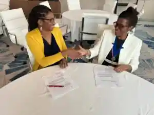 Professional bodies sign agreement to enhance accountancy profession in ...