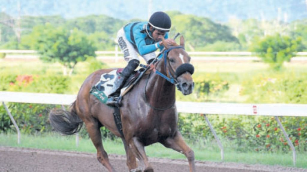Rachel Silvera crowned Miss Universe Jamaica 2024 - Jamaica Observer