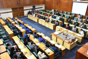 Towards crafting our own model - Jamaica Observer