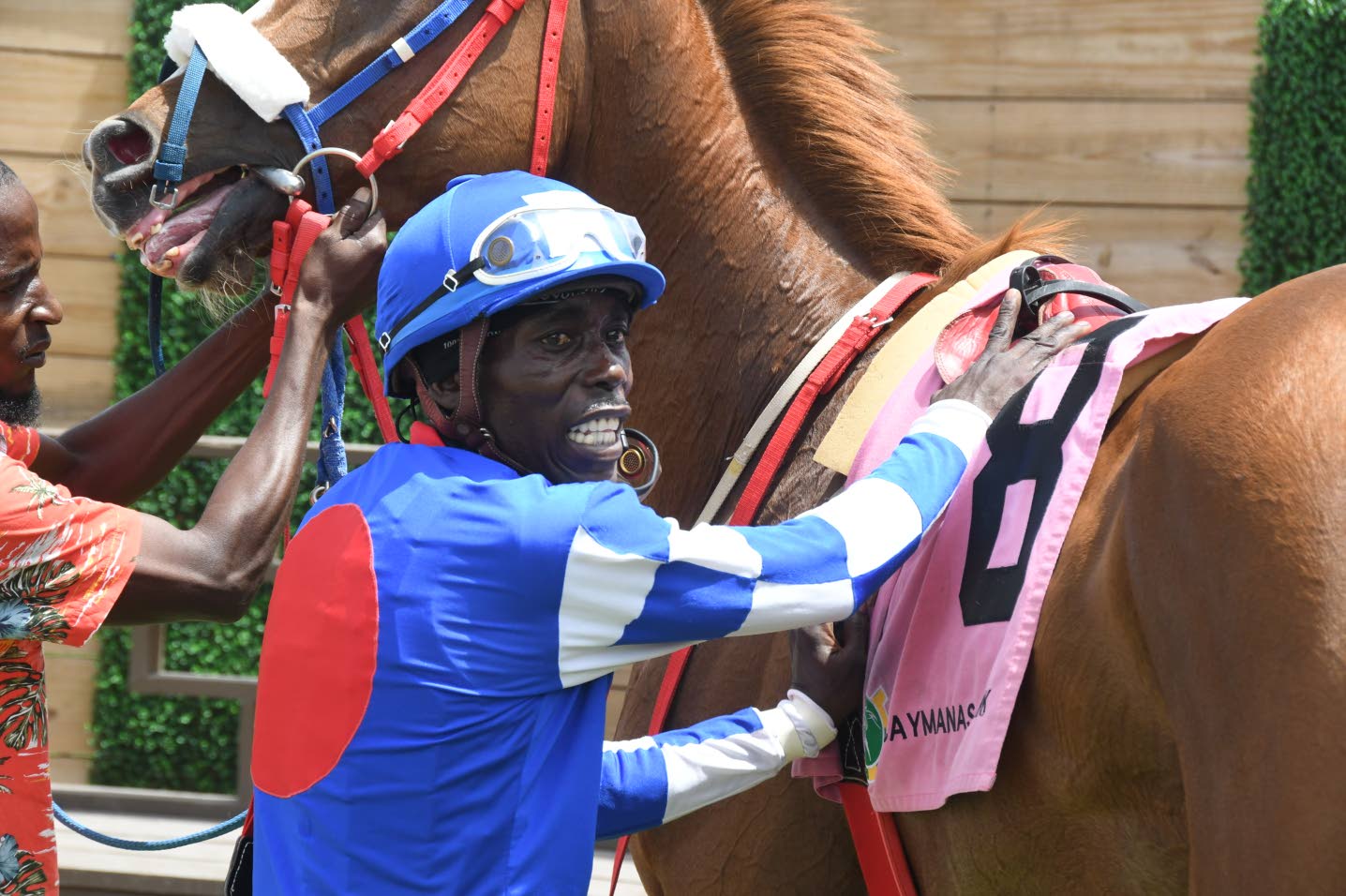 Apprentice jockeys set to make debut at Caymanas Park - Jamaica Observer