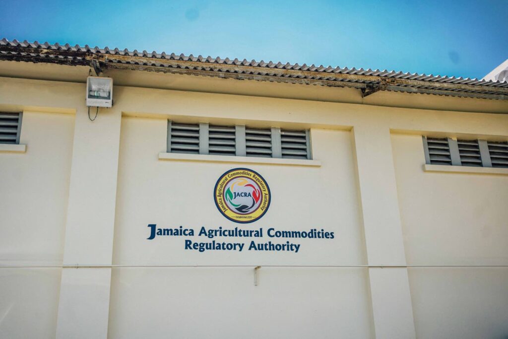 JACRA readies V&T block chain-enabled platform - Jamaica Observer