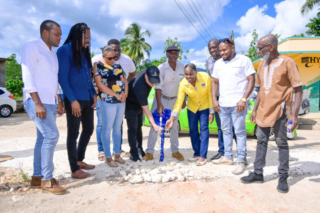 Hayles says government’s water promises ‘dry’ - Jamaica Observer