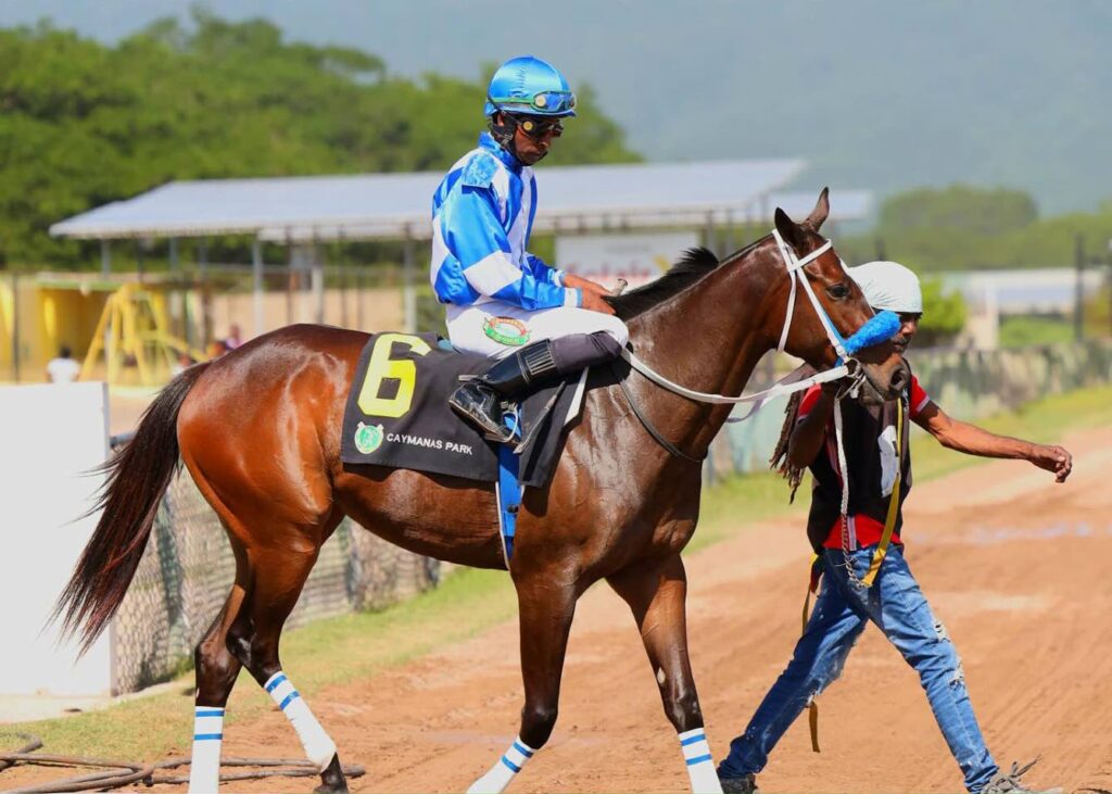 Enthusiasm takes Starters’ Trophy for trainer Anthony Nunes - Jamaica ...