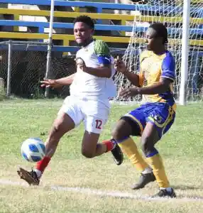 Duckie optimistic despite Humble Lion’s tough JPL run - Jamaica Observer