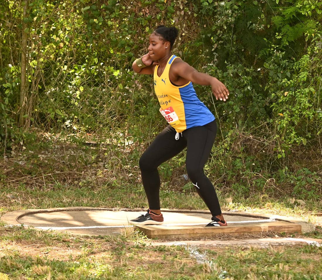 Meet director happy with 40th STETHS Invitational - Jamaica Observer
