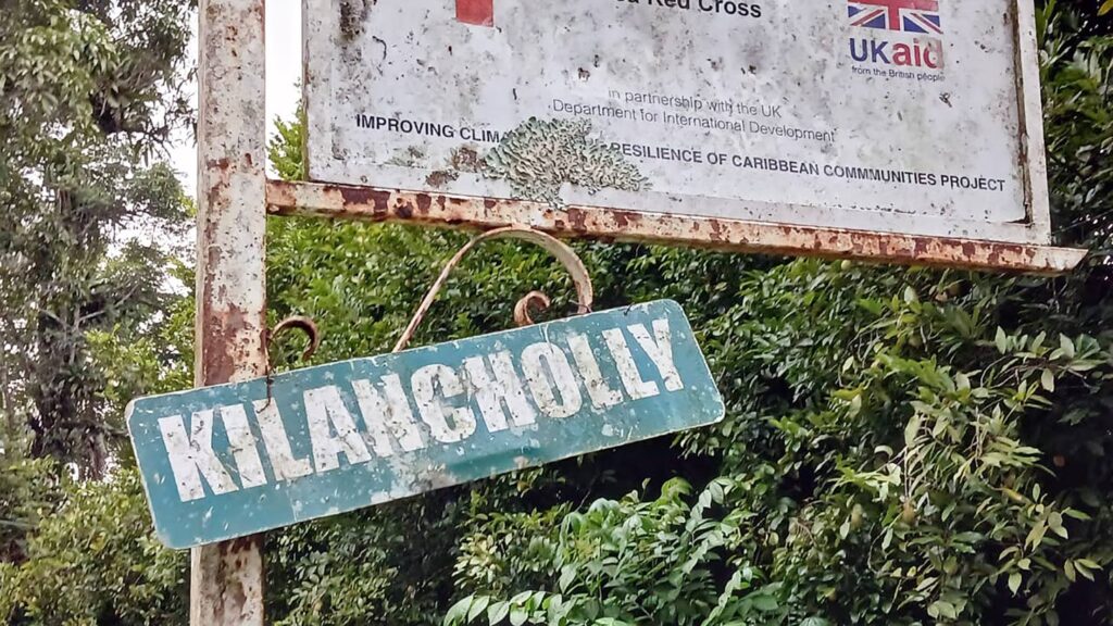 ‘Something that will never go away’ - Jamaica Observer