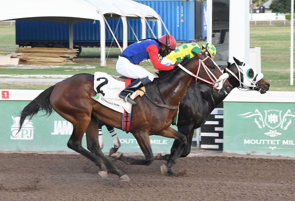 RACE DAY REVIEW FOR WEDNESDAY, JANUARY 1, 2025 - Jamaica Observer