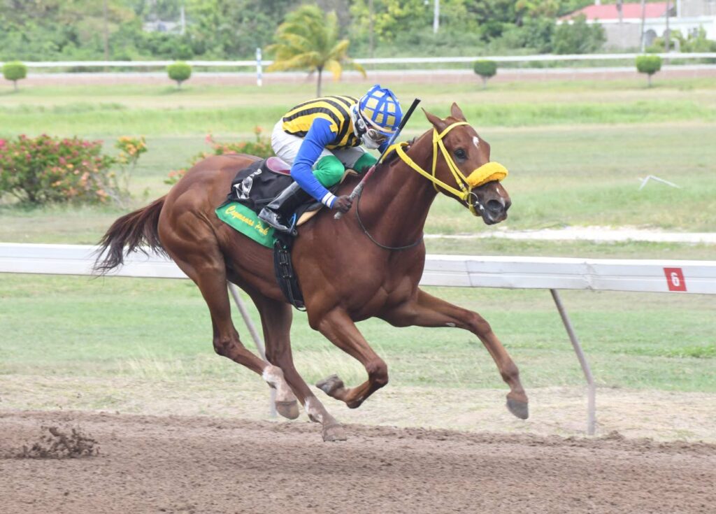 California Crown seeks second win in Trevor ‘Slicer’ Simpson Trophy ...