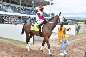 Fred The Master to make much-anticipated debut in Rimsky Trophy ...