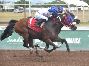 Tajay Suckoo rides second winner - Jamaica Observer