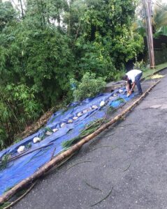 Good show of self-reliance by residents of Mountain Spring, St Andrew ...