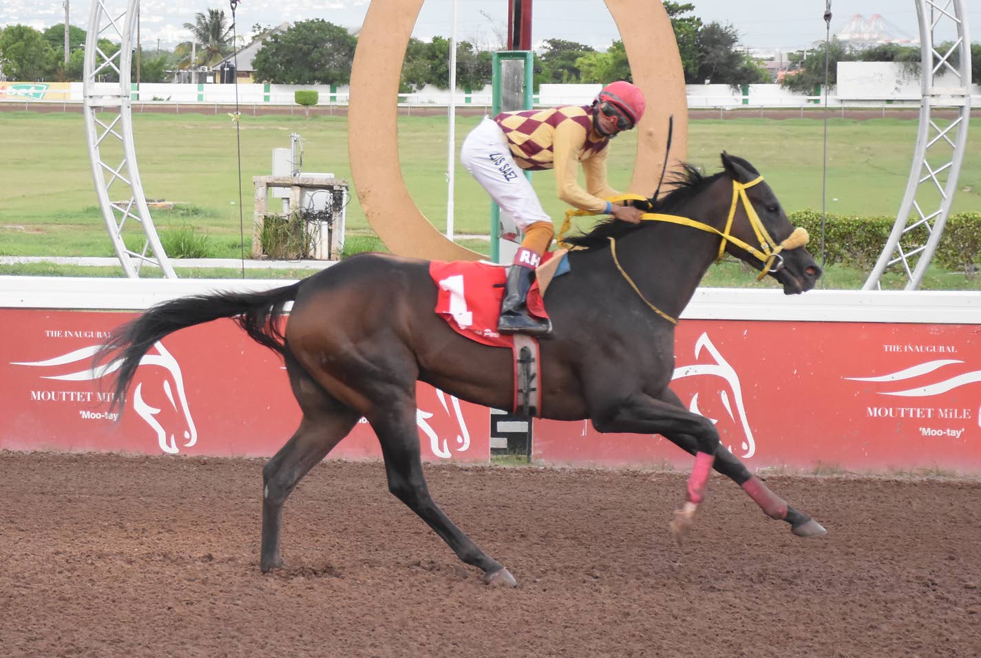 Freedom Street emerges favourite for George HoSang Trophy - Jamaica ...