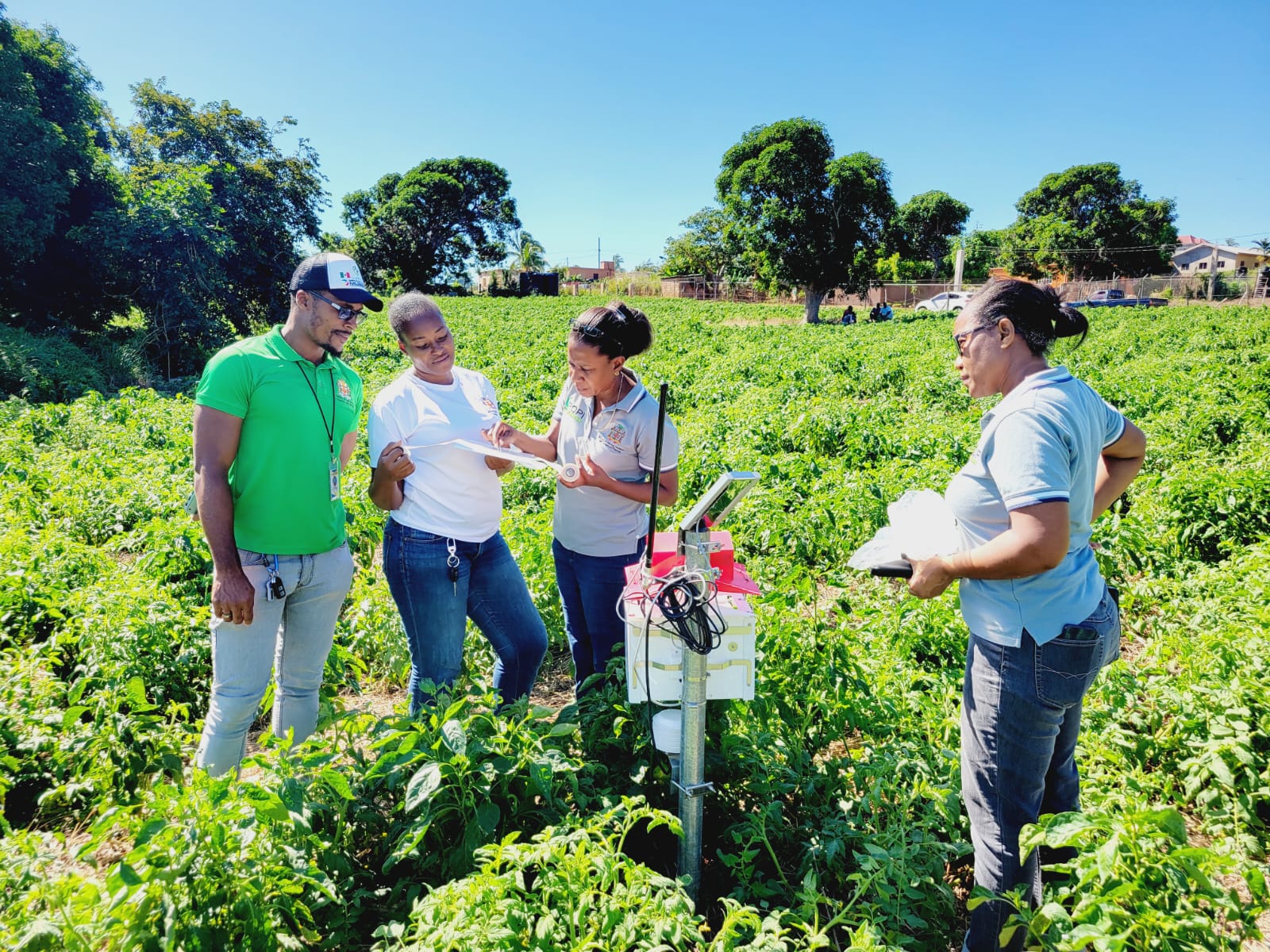 Smart traps installed at RADA offices and ports of entry - Jamaica Observer