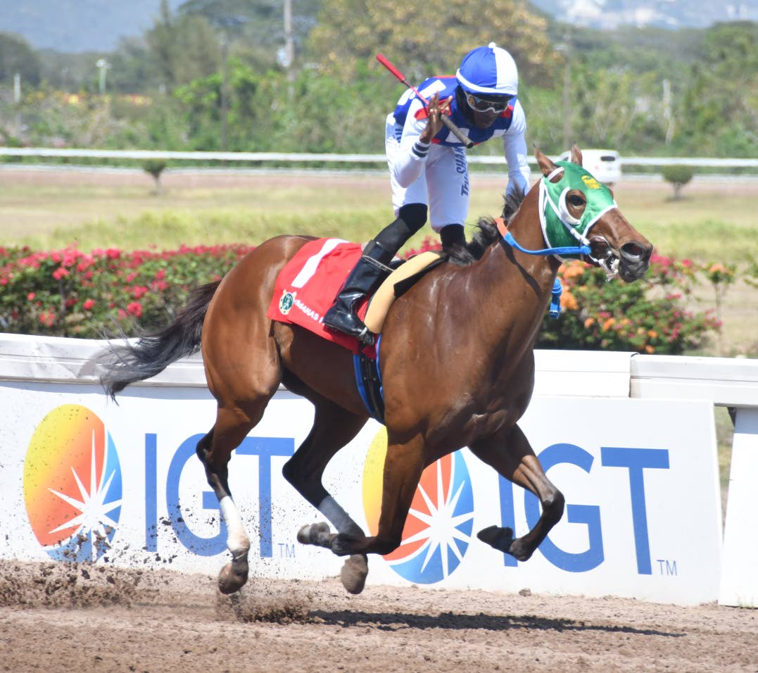 She’s A Godgift, Geolithic to light up Bonnie Blue Flag Trophy today - Jamaica Observer