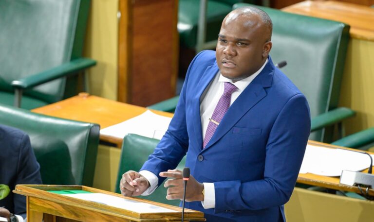 Fitz-Henley says PNP and KSAMC caught engaging in organised criminality - Jamaica Observer