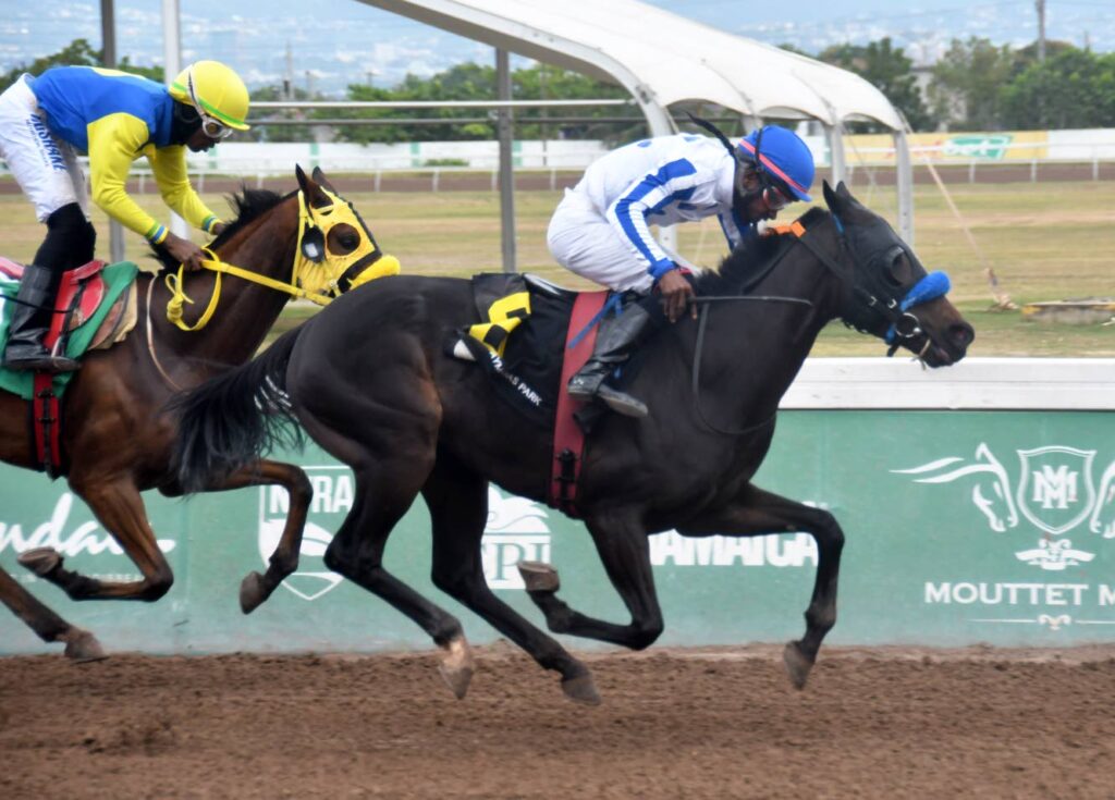 Harris off the mark: Trainer scores first win with Sicario Man ...