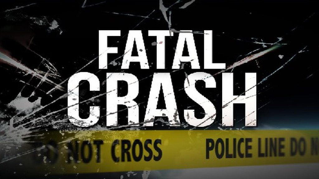 Cyclist dies after head-on collision with JDF vehicle - Jamaica Observer