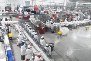 Road plea made as Caribbean Broilers unveils massive poultry processing ...