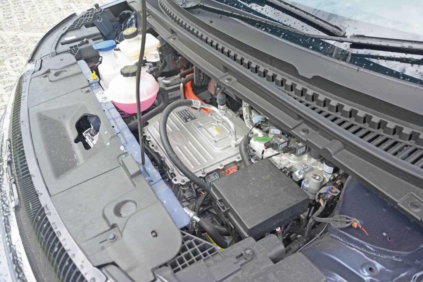 Flipping the EV script 2024 BYD Dolphin Long Range - Jamaica Observer