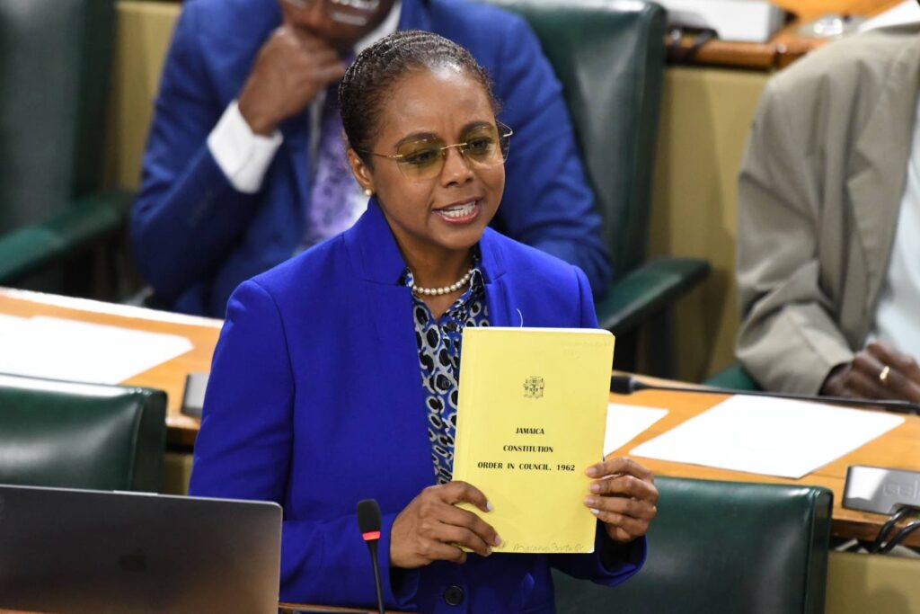 Gov’t moving forward despite Opposition boycott of constitutional ...