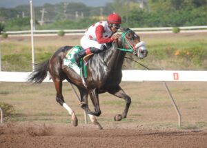 Atomica, Pack Plays, Is That A Fact clash in Eileen Cliggott Memorial ...