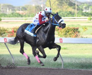 California Crown seeks second win in Trevor ‘Slicer’ Simpson Trophy ...