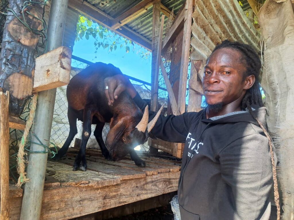Farmer with disability pedals his way to success - Jamaica Observer