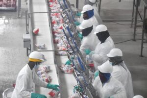 Road plea made as Caribbean Broilers unveils massive poultry processing ...