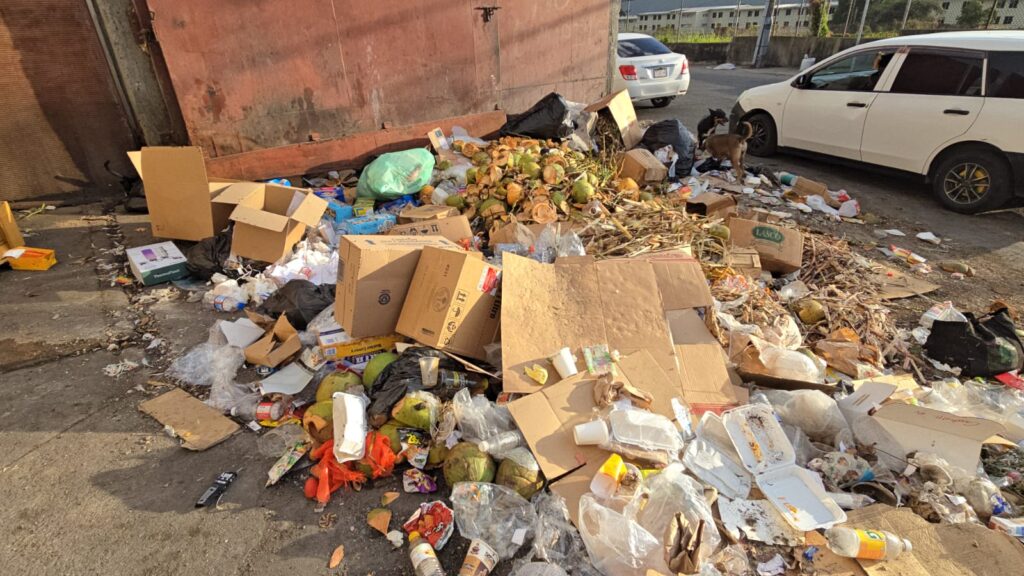 WATCH: Illegal dumping triggers relocation of garbage facility at ...