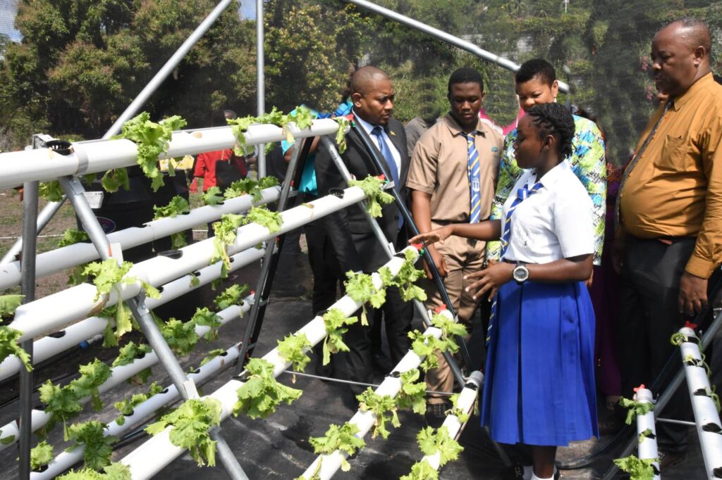 Papine High opens greenhouse - Jamaica Observer